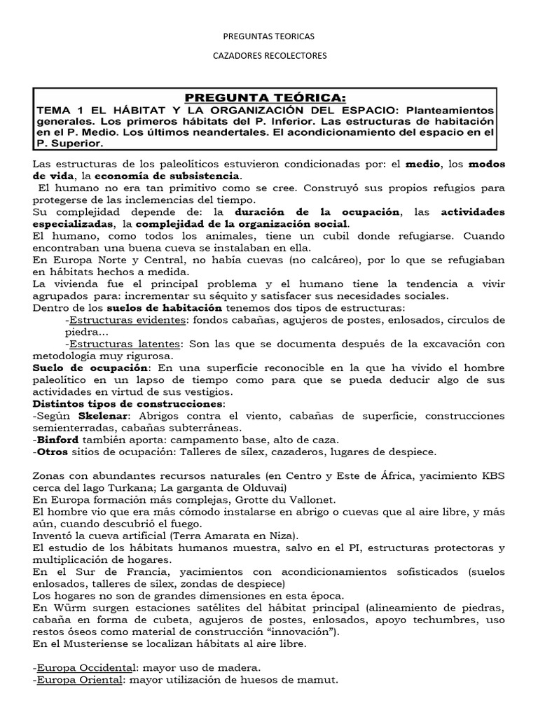 Preguntas Teoricas Examen | PDF