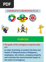 Emergency Response Team Organizational Chart: ERT Roles | PDF ...