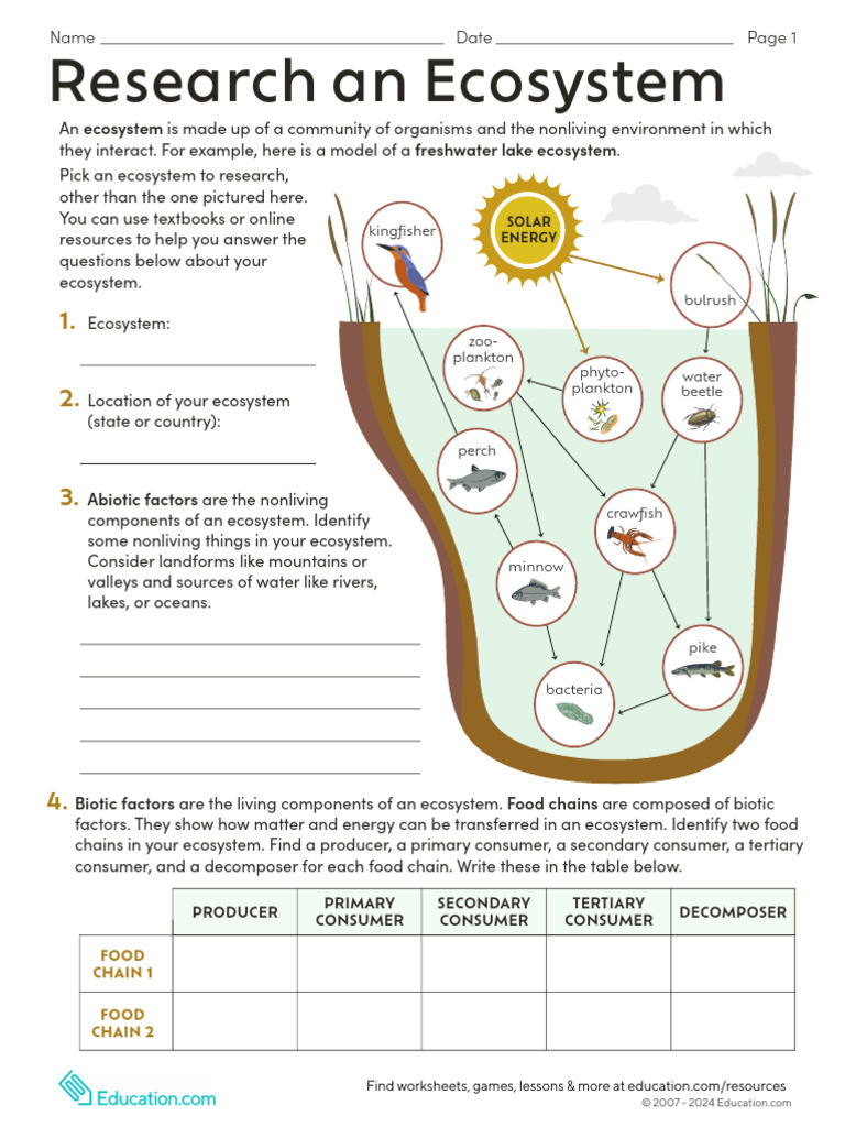 Research An Ecosystem | PDF | Ecosystem | Symbiosis