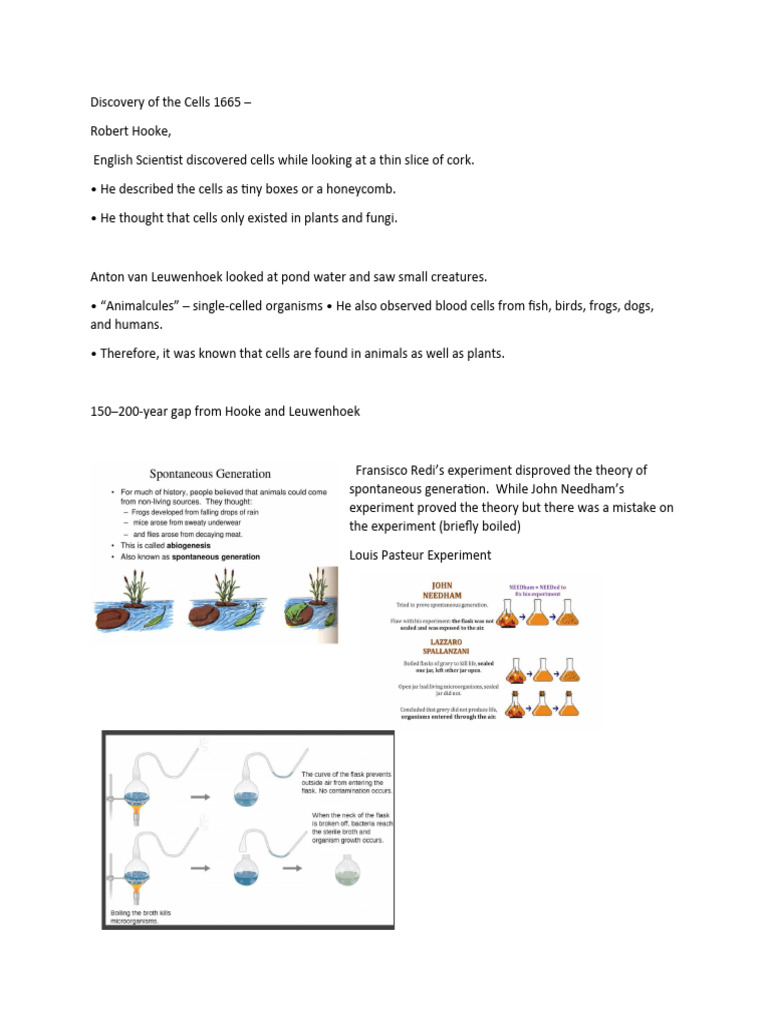 Discovery of The Cells 1665 - Robert Hooke | PDF | Cell (Biology ...