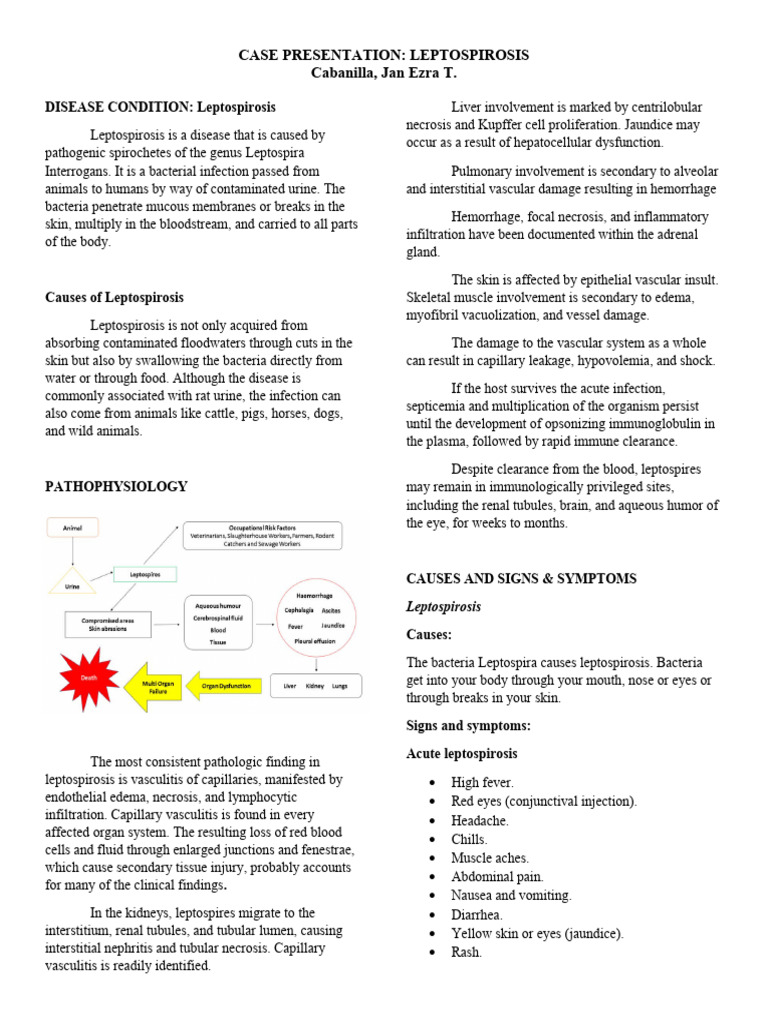 Case Pres Leptos | PDF | Immunology | Medicine