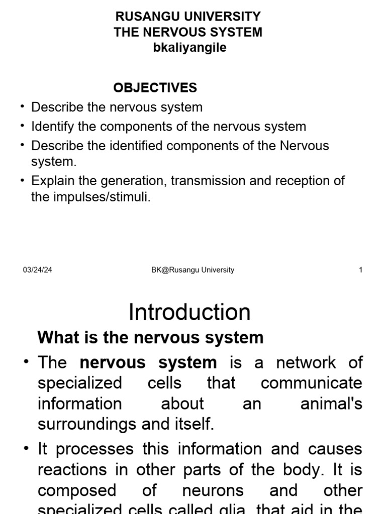 Nervous System | PDF | Action Potential | Nervous System