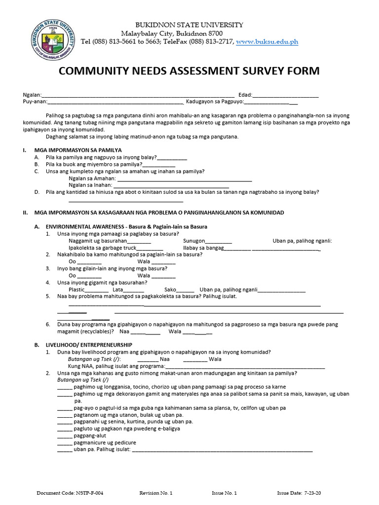 Community Needs Assessment | PDF