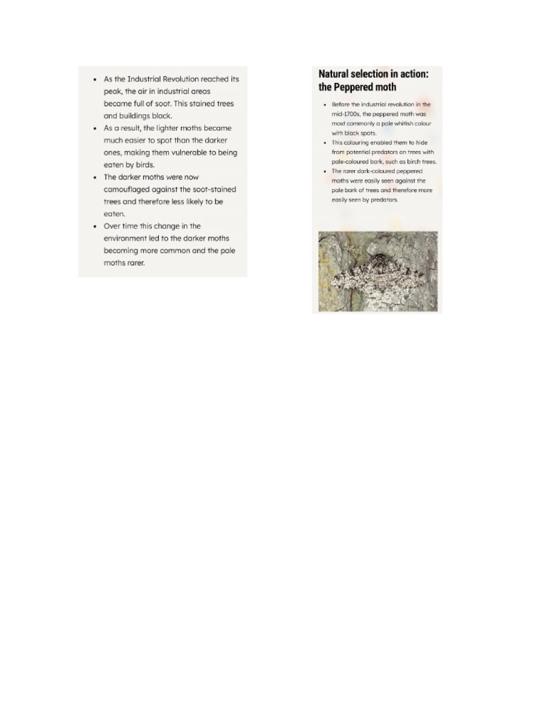 Natural selection | PDF