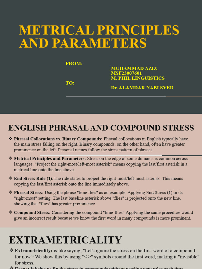 Chp.12 Metrical Principles and Parameters | PDF | Stress (Linguistics) | Metre (Poetry)