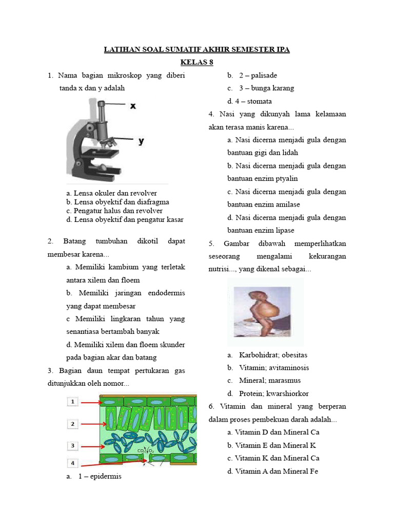 Latihan Soal Sumatif Akhir Semester Ipa | PDF
