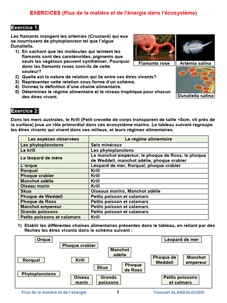 Exercices Flux de La Matiere Et de l Energie 1 | PDF