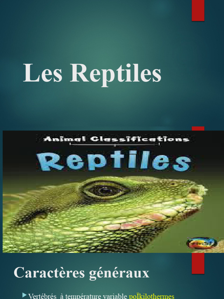 Caractéristiques et classification des reptiles | PDF | Études des ...
