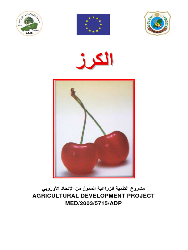 Cherry Book | PDF