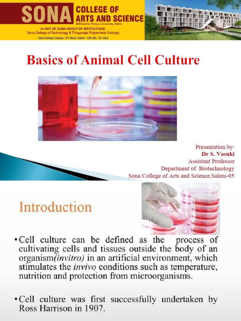 Animal Cell Culture Basics | PDF