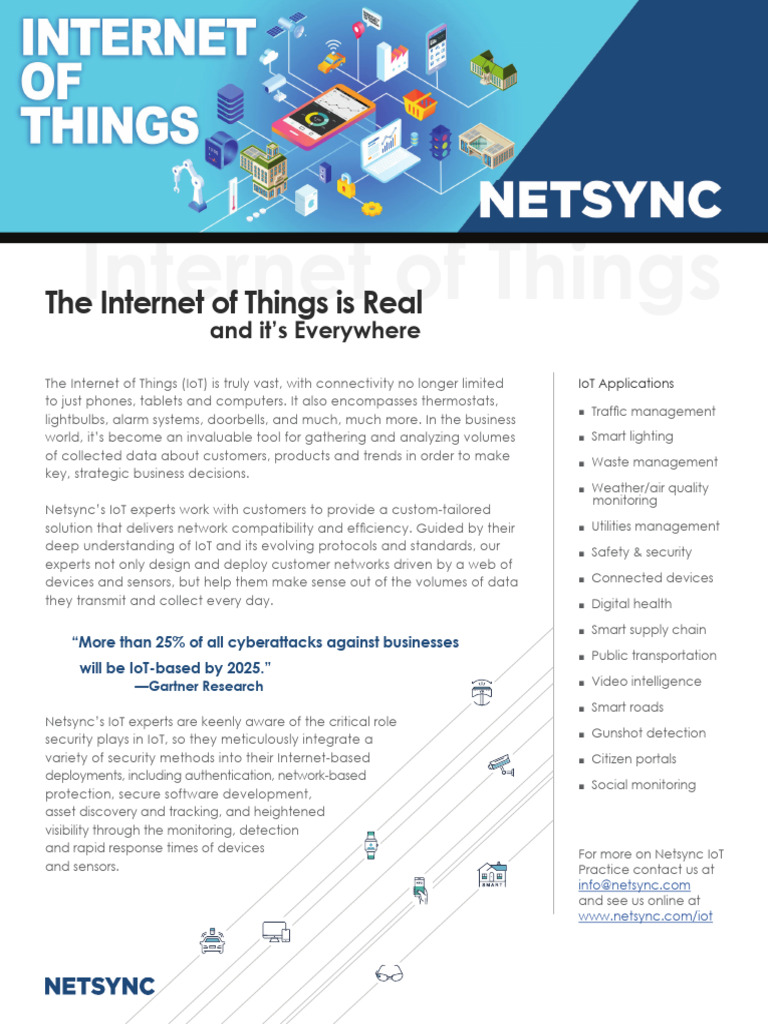 Netsync Internet of Things Collateral | PDF | Internet Of Things | Computer Security