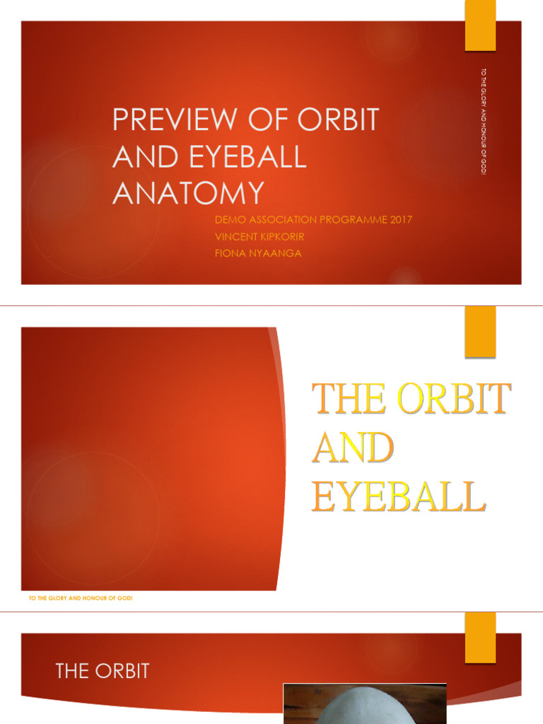 Review of Orbit and Eyeball Anatomy | PDF
