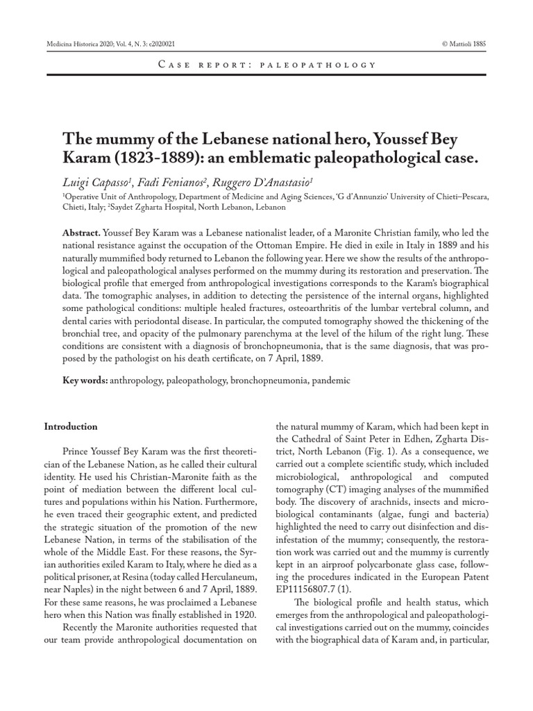 Youssef Bey Karam | PDF | Mummy | Scanning Electron Microscope