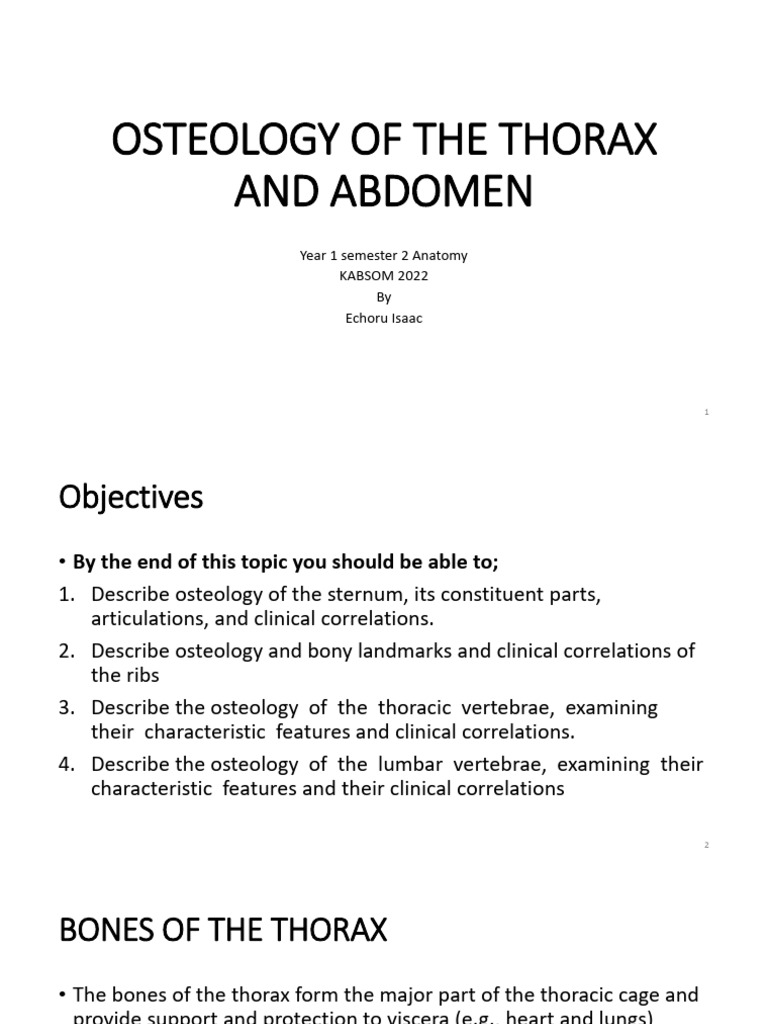 Osteology | PDF | Vertebra | Vertebral Column