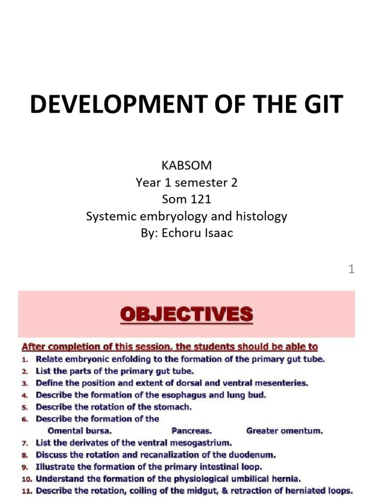 Development of GIT | PDF