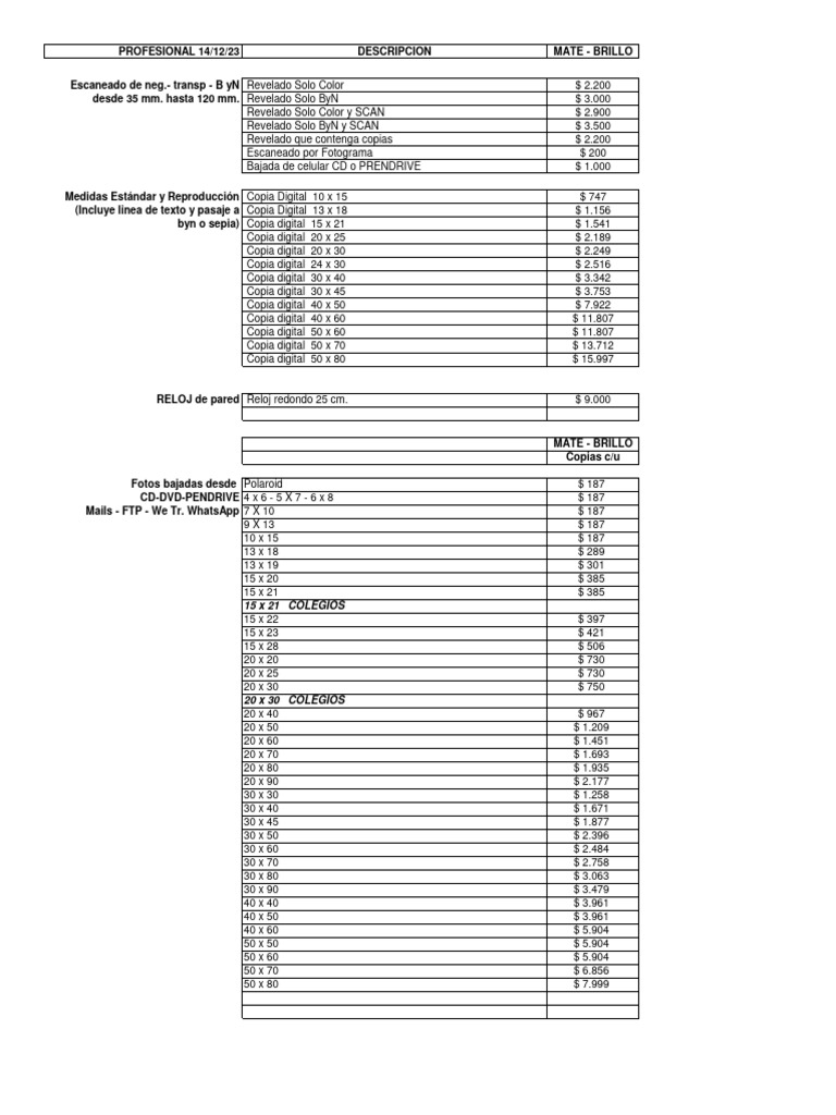 LISTA DIGITAL PROFESIONAL Enero 2024 Provisoria | PDF | Imagen