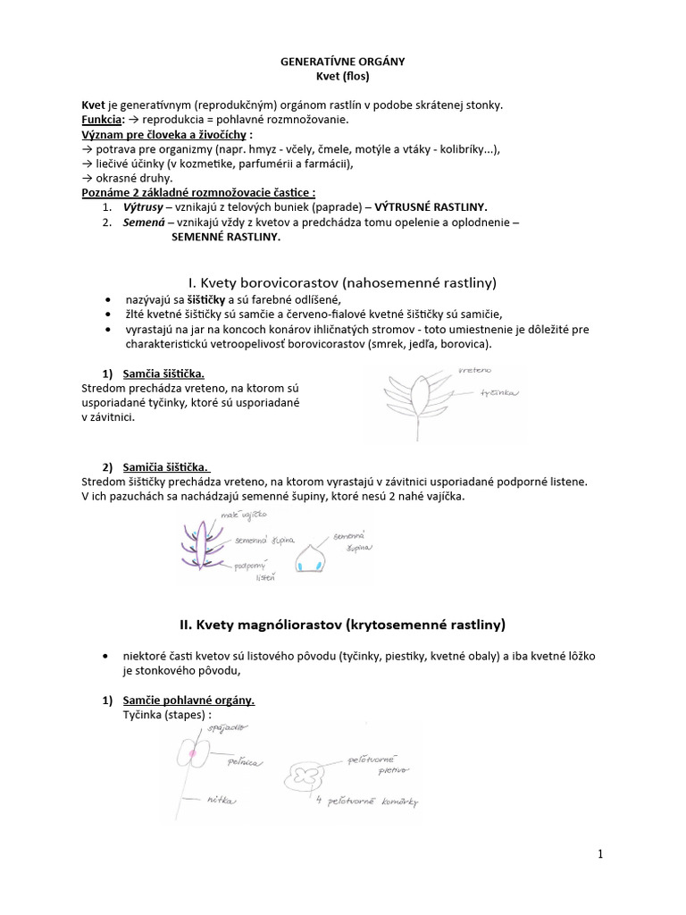 Kvet, Sãºkvetia, Vzorce | PDF