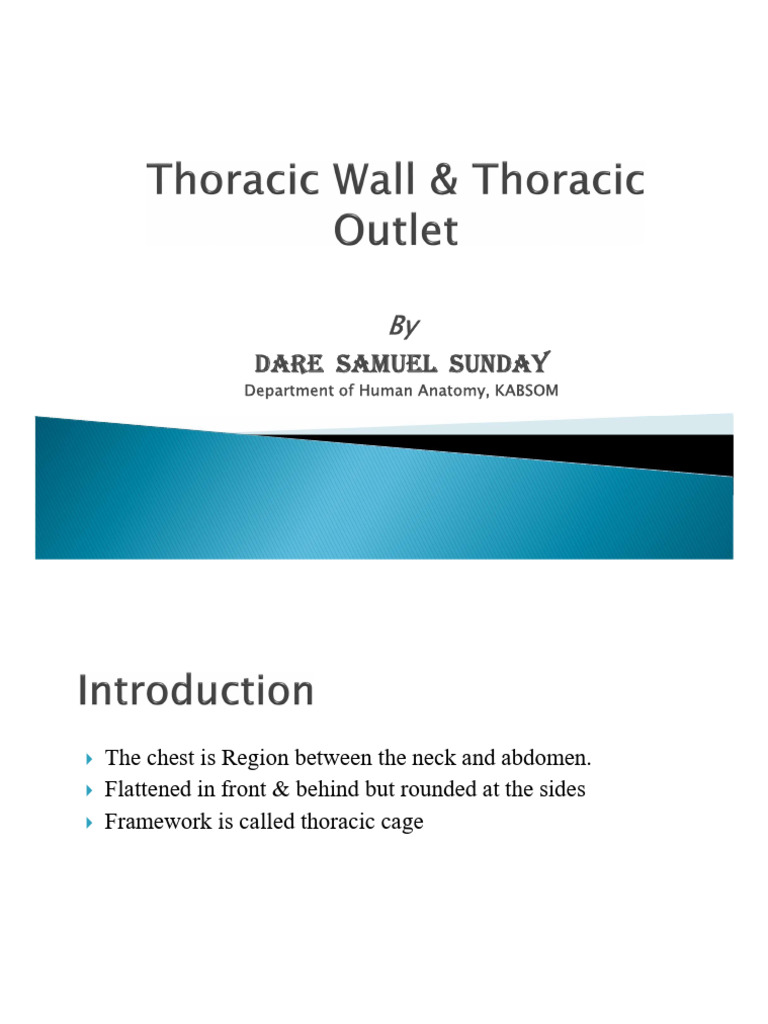 Thoracic Cage Thoracic Inlet | Download Free PDF | Thorax | Anatomy