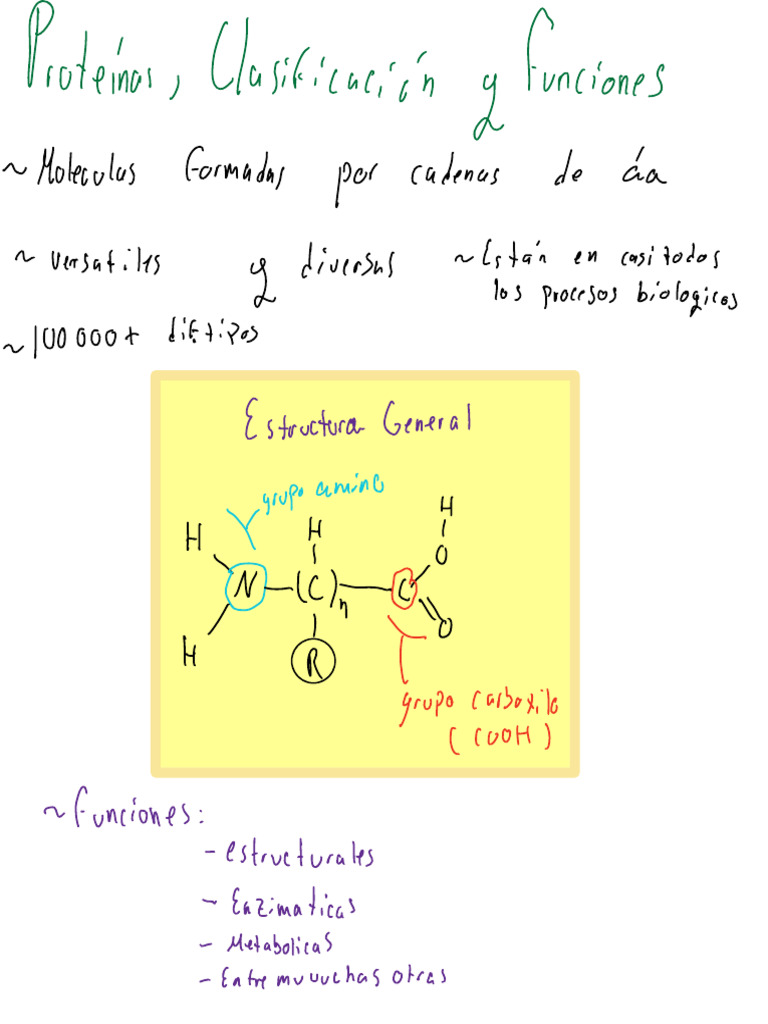 Proteínas Clasificación y Generalidades | PDF | Proteínas | Bioquímica