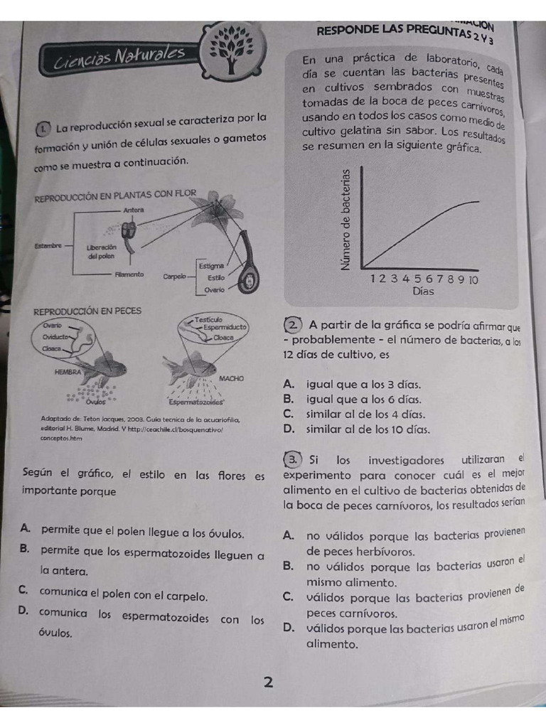 Ciencias Sexto | PDF