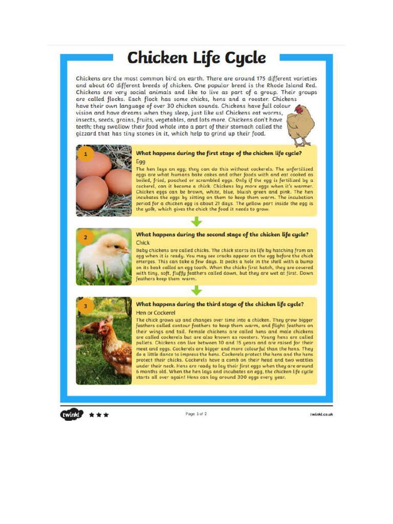 Reading Comprehension Text | PDF