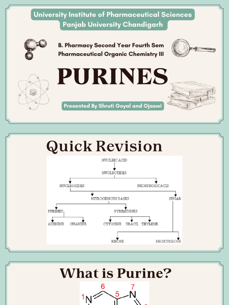 Purines | PDF | Chemical Reactions | Acid