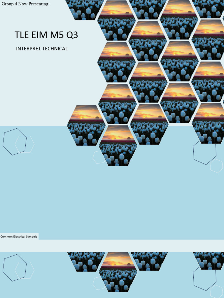 TLE EIM M4 Presentation [Autosaved] | PDF