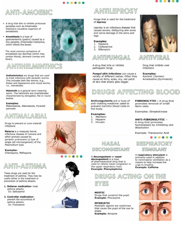 PIPH-LAST-TOPIC | PDF