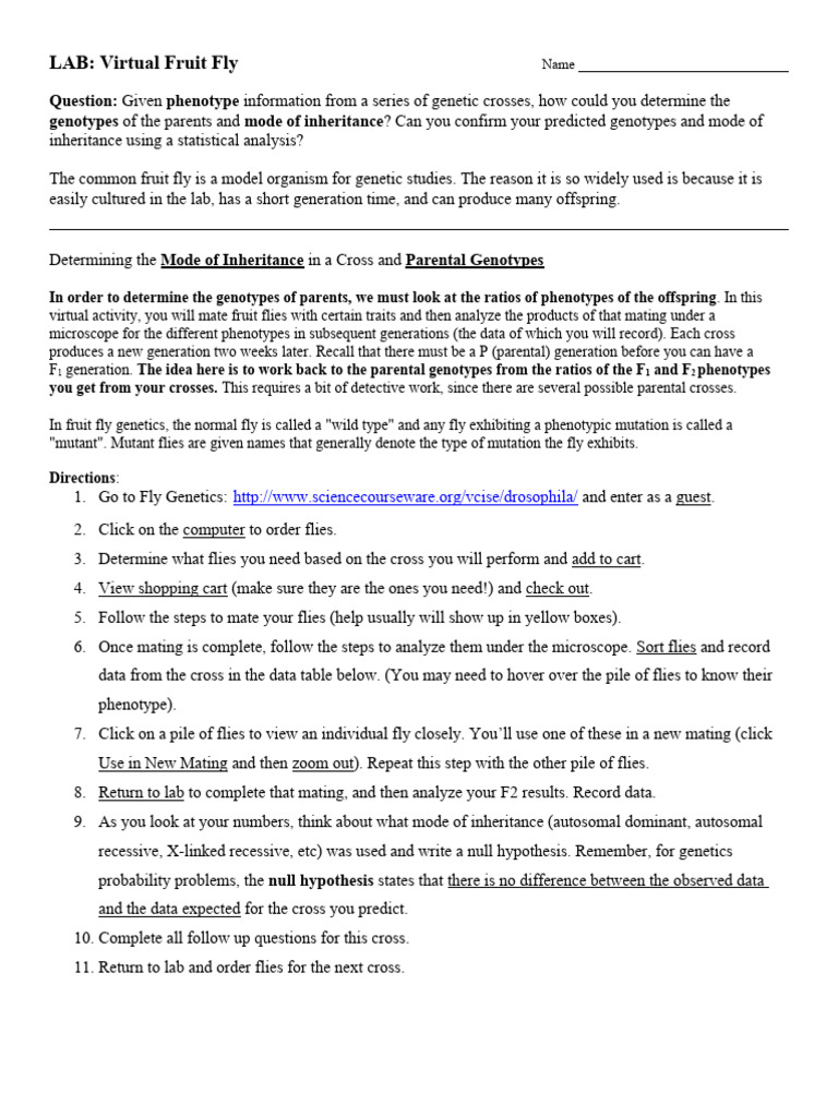 AP Lab 7 Virtual Drosphilia Lab 1314 | PDF | Genotype | Dominance ...