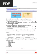 Ponavljanje - Regulacija Stalnoga Sastava Tjelesnih Tekućina U Organizama | PDF