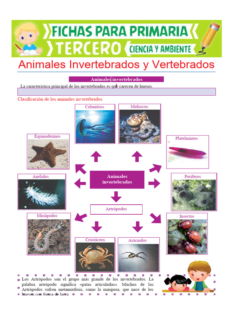 Animales Invertebrados y Vertebrados para Tercero de Primaria | PDF ...