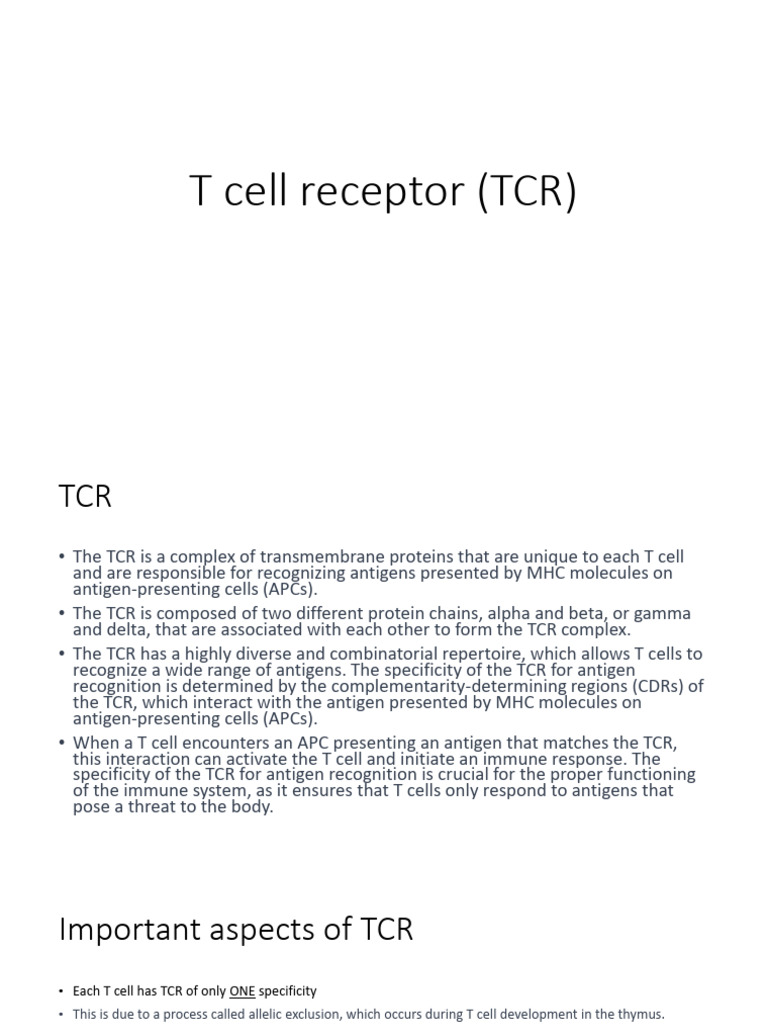 Lecture - TCR | PDF | T Cell | Major Histocompatibility Complex