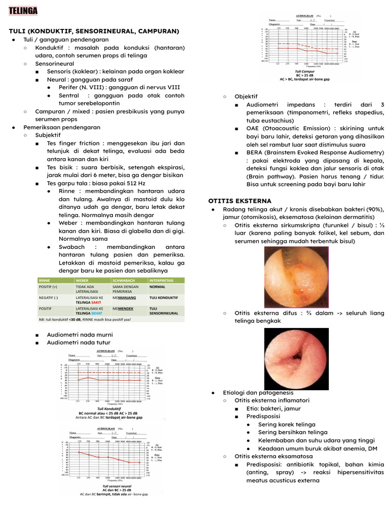 Catatan Koas THT | PDF
