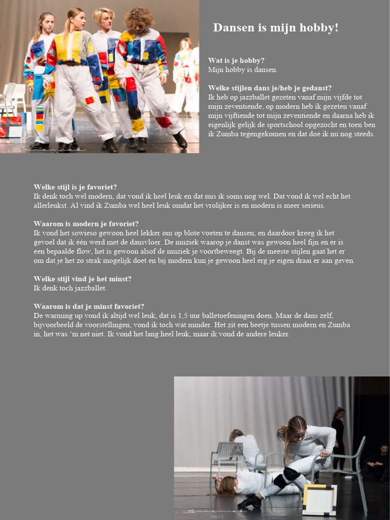 Uitgewerkt Interview SLB 2 | PDF