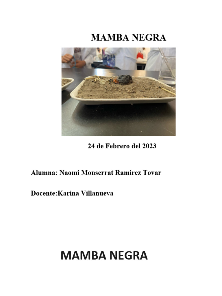 Mamba Negra | PDF | Masa | Química