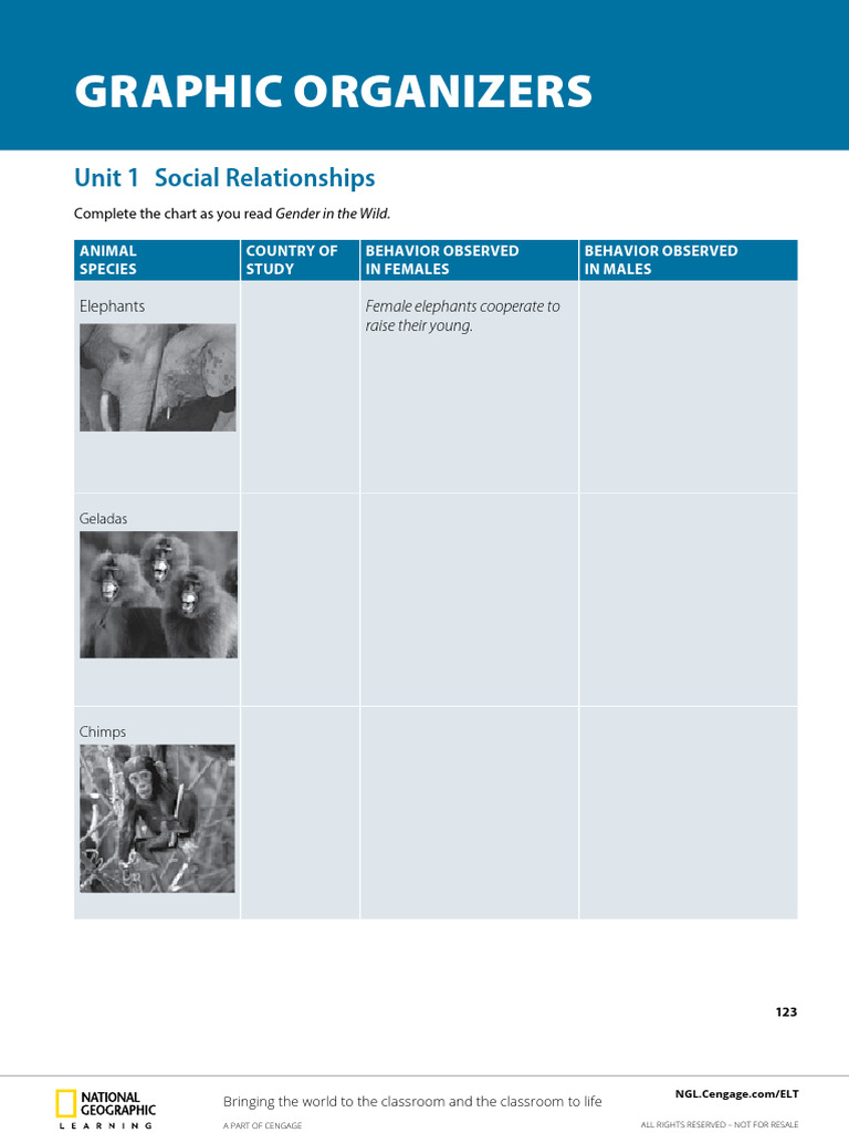 Pathways RW Level 3 Graphic Organizer | PDF