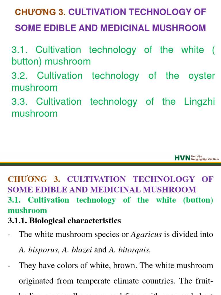 CH 3.1.cultivation Technology of Button Mush | PDF | Edible Mushroom ...