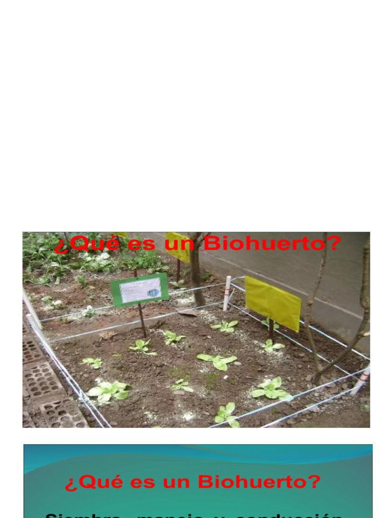 Diapositiva Biohuerto | PDF