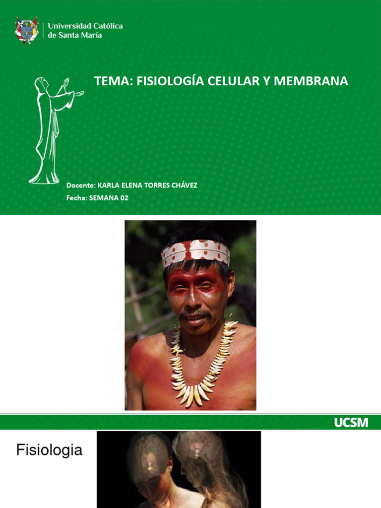 1 Bases De La Fisiología Fisiología Celular Pdf Fisiología ósmosis