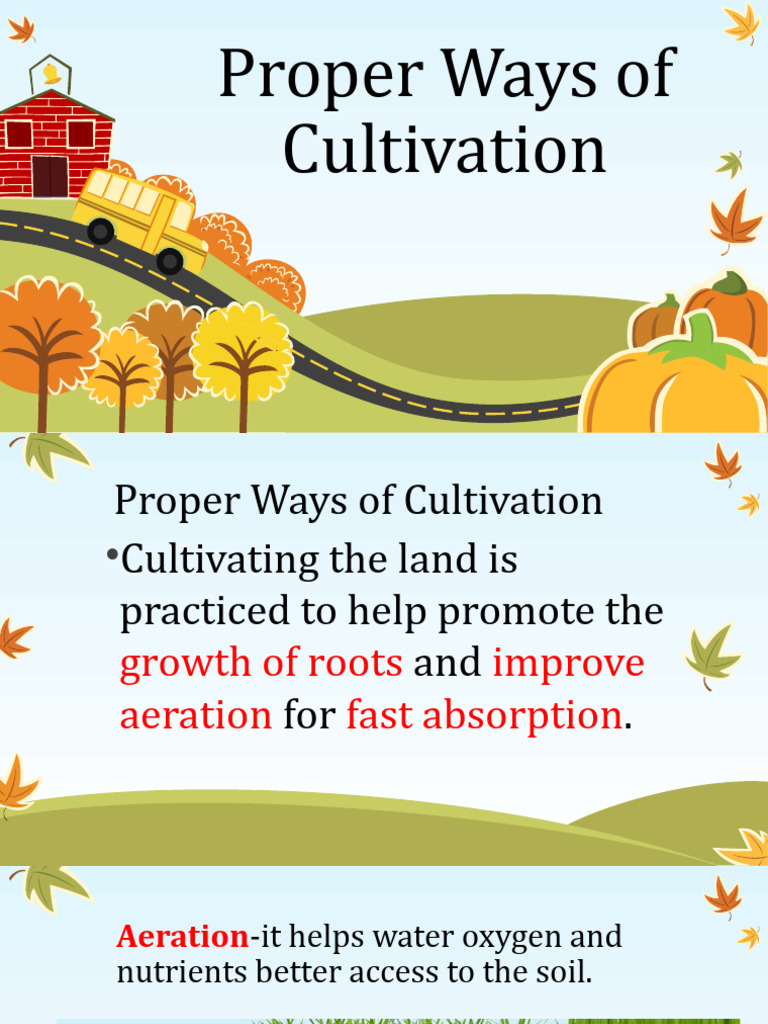 Proper Ways of Cultivation | PDF
