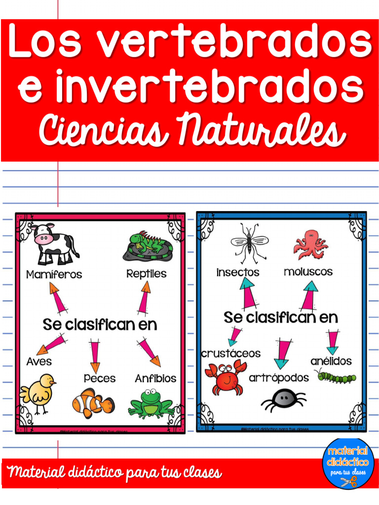 Los Vertebrados e Invertebrados Ciencias Naturales: Material Didáctico ...