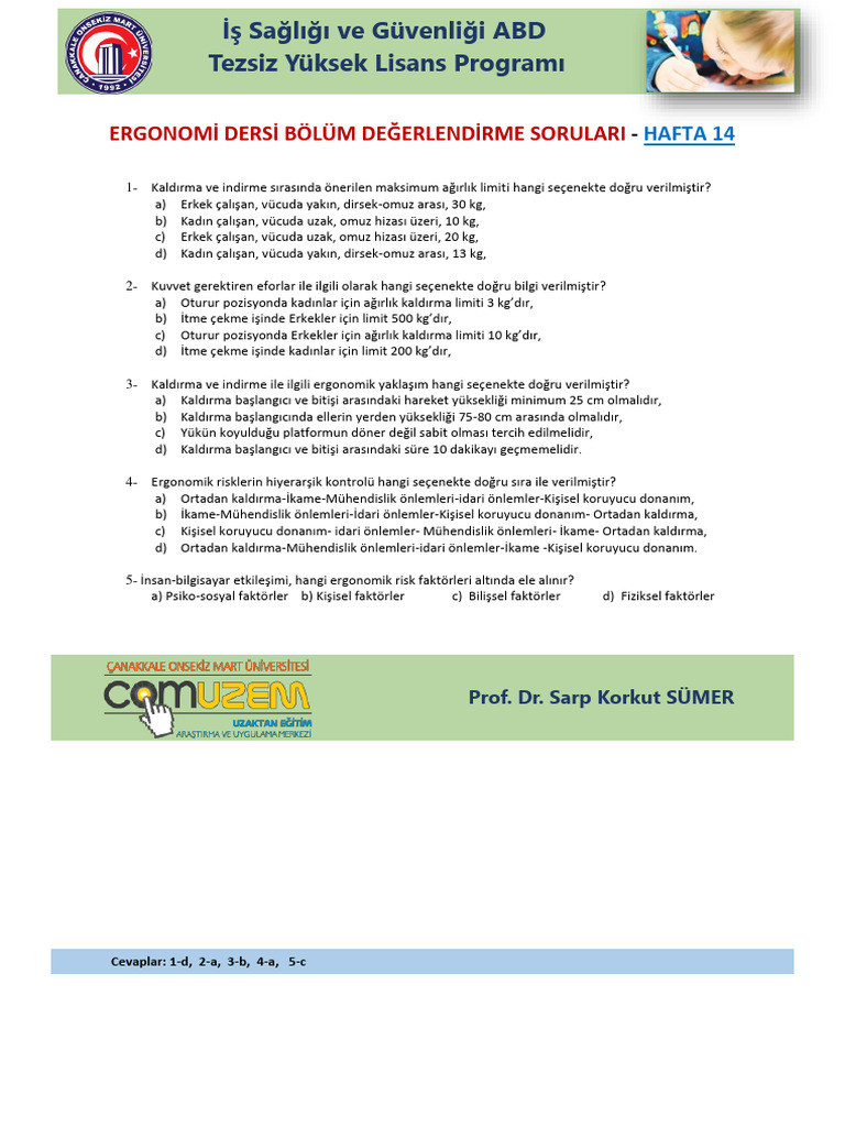 Ergonomi Sorular-Hafta 14 | PDF