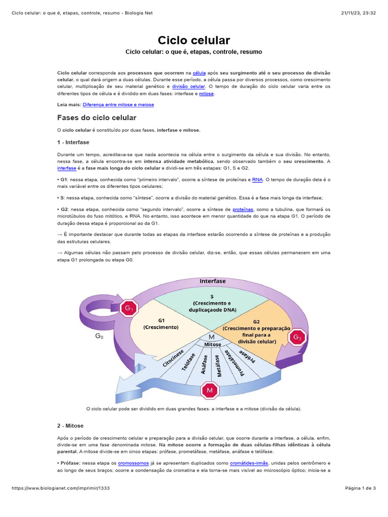 Ciclo Celular: o Que É, Etapas, Controle, Resumo - Biologia Net | PDF ...