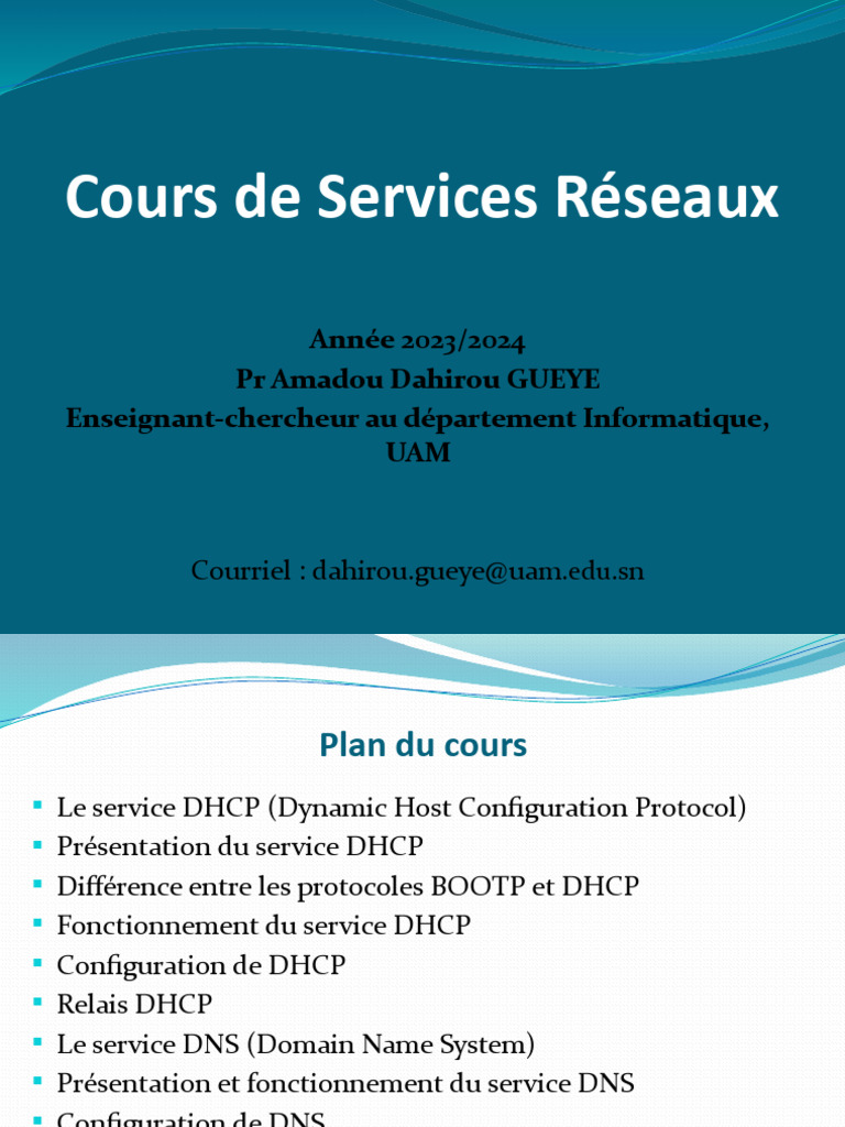 Services-Réseaux | PDF | Système de noms de domaines | Internet