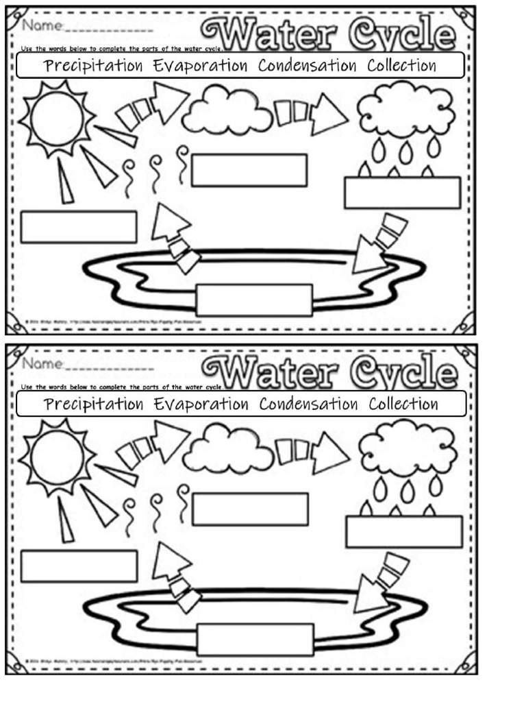 Water Cycle | PDF