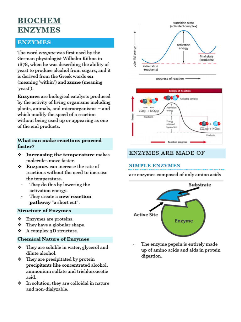 BIOCHEM ENZYMES | PDF | Enzyme | Active Site