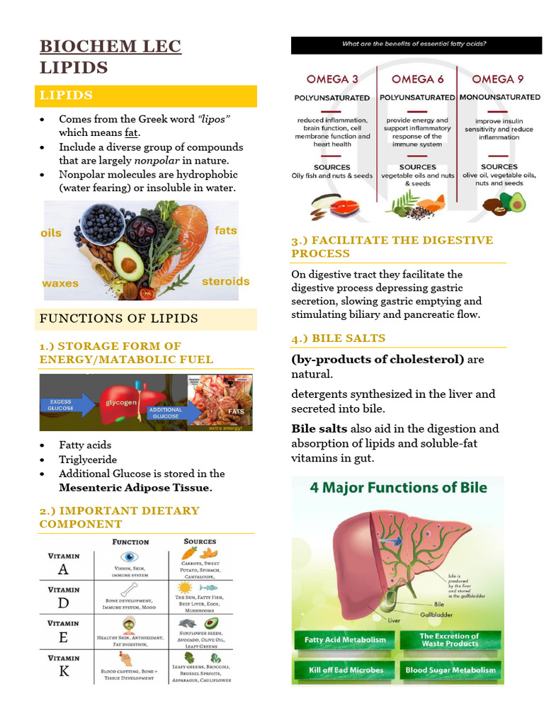 BIOCHEM LIPIDS | PDF