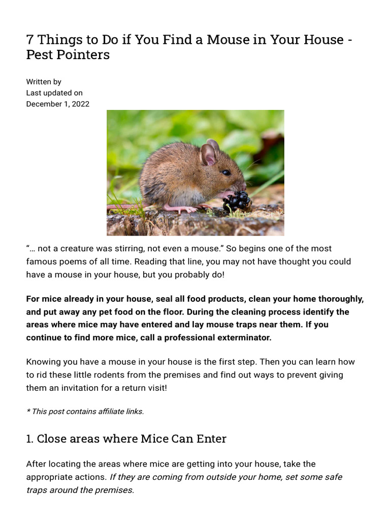 7 Things To Do If You Find A Mouse in Your House - Pest Pointers | PDF ...