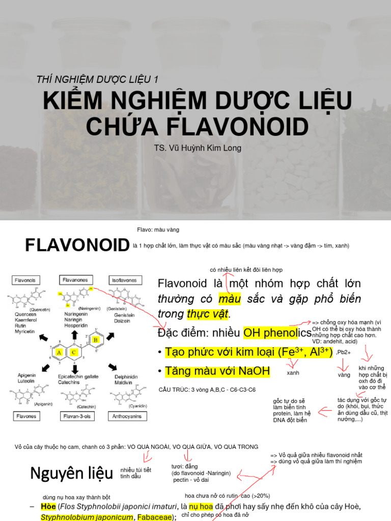 TNDL1 Flavonoid | PDF