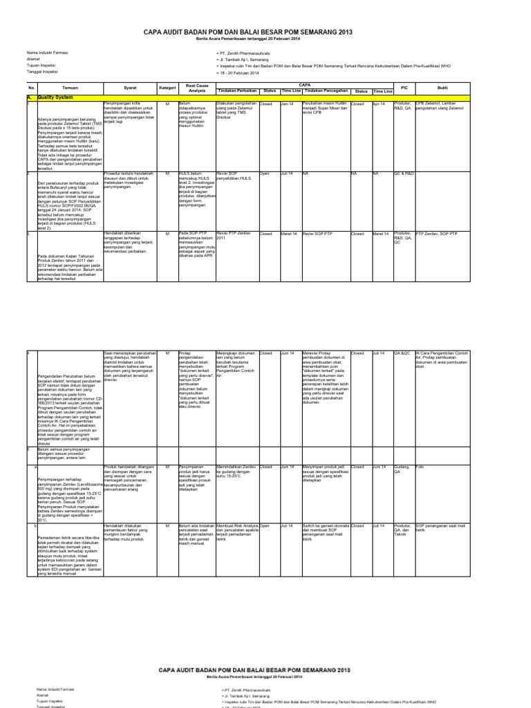 Contoh Pengisian CAPA Audit - 8 | PDF